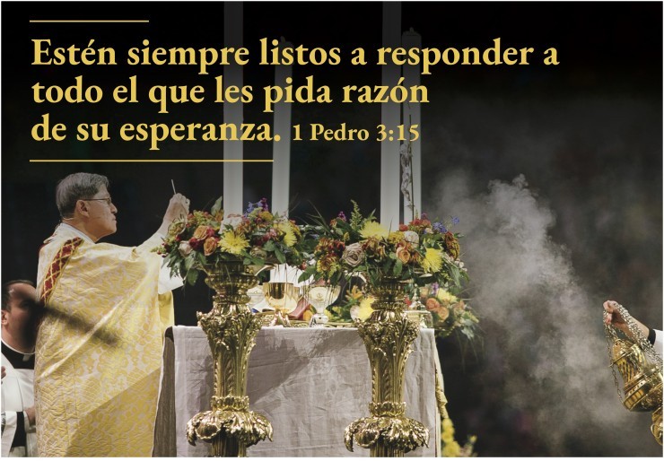 Catechetical Sunday 2025 | USCCB